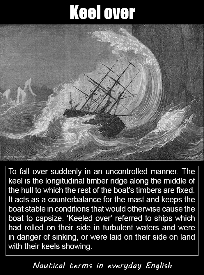 The Pyrate Chronicles